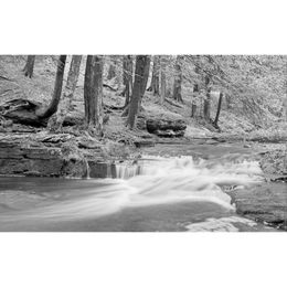 papermoon Fototapete &raquo;Wasserfall Schwarz & Wei&szlig;&laquo; bunt Vlies B/L: 3m x 2,2m, Rollen: 1
