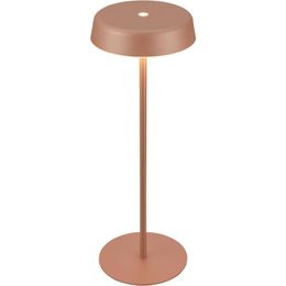 Briloner Leuchten LED Au&szlig;en-Tischleuchte &raquo;PALA 7668014&laquo; braun Einheitsgr&ouml;&szlig;e