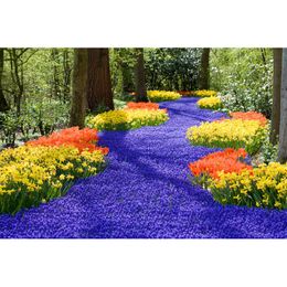 papermoon Fototapete &raquo;Spring Flowers&laquo; glatt bunt Vlies B/L: 3m x 2,23m, Bahnen: 6 Stk.