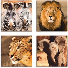 Artland Leinwandbild &raquo;Zebras L&ouml;we Schneeleopard Elefanten&laquo; Wildtiere 4 Stk. tlg. 4er Set, verschiedene Gr&ouml;&szlig;en braun Leinwand, MDF B/H/T: 30cm x 30cm, 