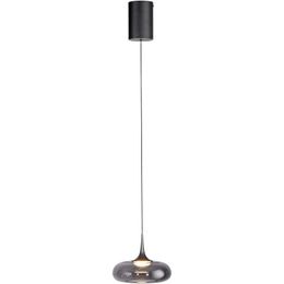 Sch&ouml;ner Wohnen Kollektion SCH&Ouml;NER WOHNEN-Kollektion LED Pendelleuchte &raquo;POSH&laquo; LED-Board 1 Stk. Warmwei&szlig; SCH&Ouml;NER WOHNEN Kollektion, SimplyDim, Memoryfunktion, Comfort-Lift silber