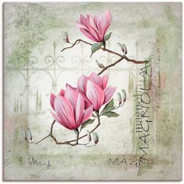 Artland Wandbild &raquo;Pinke Magnolie&laquo; Blumen 1 Stk. tlg. als Leinwandbild, Poster in verschied. Gr&ouml;&szlig;en pink Leinwand B/H/T: 50cm x 50cm, Leinwandbild Blumen 