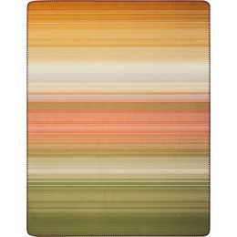 Biederlack Wohndecke &raquo;Wohndecke Woodland&laquo; 150 x 200, mit Zierstich bunt Baumwolle, Polyacryl, Polyester B/L: 150cm x 200cm