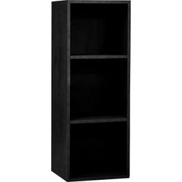 M&auml;usbacher Aktenregal &raquo;Big System Office&laquo; Breite 41 cm schwarz Holzwerkstoff B/H/T: 41cm x 109cm x 36cm, 3 Stk.
