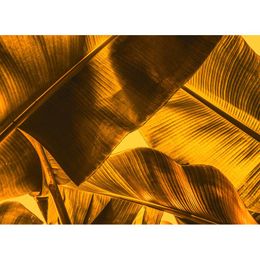 Livingwalls living walls Fototapete &raquo;Designwalls Broken Leaf 2&laquo; glatt Vlies, Wand, Schr&auml;ge, Decke orange Vlies B/L: 3,5m x 2,55m