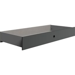 wimex Bettschubkasten &raquo;Barcelona&laquo; f&uuml;r extra Stauraum unter dem Bett grau B/H/T: 141cm x 20cm x 61cm, 2 St&uuml;ck