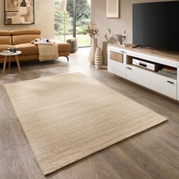 Theko Wollteppich &raquo;Origin Loop Uni&laquo; rechteckig 10 mm H&ouml;he handgetuftet, reine Schurwolle, Unifarben beige Schurwolle B : 250cm 1 Stk., 10mm, L: 350cm