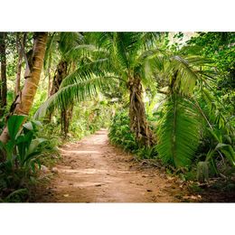 Livingwalls living walls Fototapete &raquo;Designwalls Palm Walk&laquo; glatt Vlies, Wand, Schr&auml;ge, Decke gr&uuml;n Vlies B/L: 3,5m x 2,55m