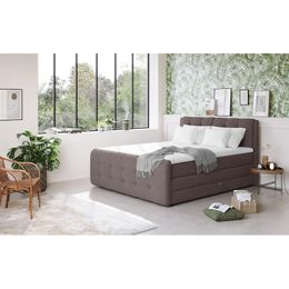COTTA Boxspringbett &raquo;Fort mit Bettkasten, inkl. Topper&laquo; erh&auml;ltlich in verschiedenen Breiten (160cm, 180cm & 200cm) grau 100% POLYESTER (PES) Struktur 