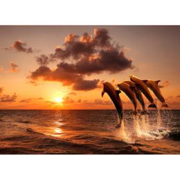 papermoon Fototapete &raquo;Sunset Jumping Dolphins&laquo; glatt bunt Vlies B/L: 1,5m x 1,11m, Bahnen: 7 Stk.
