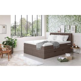 COTTA Boxspringbett &raquo;Shark inkl. Bettkasten und Topper&laquo; erh&auml;ltlich in den Breiten 140x200cm, 160x200cm und 180x200cm braun 100% POLYESTER (PES) 