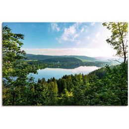 Artland Leinwandbild &raquo;Blick auf den Titisee im Schwarzwald&laquo; Seebilder 1 Stk. tlg. auf Holzrahmen gespannt bunt Leinwand B/H/T: 60cm x 40cm, Leinwandbild 