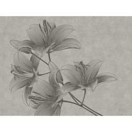 Livingwalls living walls Fototapete &raquo;The Wall&laquo; floral gebl&uuml;mt nat&uuml;rlich glatt Fototapete Floral Tapete Blume Tapeten Wohnzimmer Schlafzimmer Design grau Vinyl, 