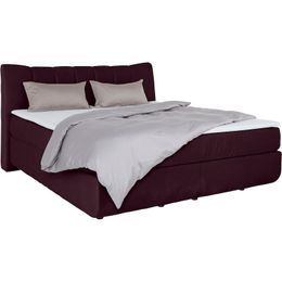 Home Affaire Boxspringbett &raquo;Oc&eacute;ane&laquo; Bodenfrei- wirkt freischwebend, verschiedene H&auml;rtegrade (auch H4) lila Polyester Velour VELVET Polyester Topper 