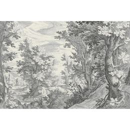 Livingwalls living walls Fototapete &raquo;Walls by Patel Fancy Forest&laquo; glatt Vlies, Wand grau Vlies B/L: 4m x 2,7m