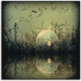 Artland Wandbild &raquo;In der Glaskugel - Mystische Au&laquo; Landschaften 1 Stk. tlg. als Alubild, Leinwandbild in verschied. Gr&ouml;&szlig;en gr&uuml;n B/H/T: 30cm x 30cm, 