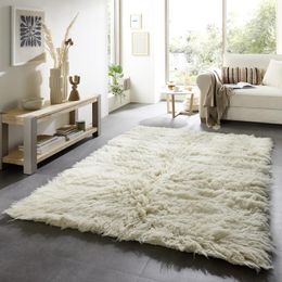 Theko Wollteppich &raquo;Flokos 2&laquo; rund 70 mm H&ouml;he original griechischer Flokati, Hochflor, Uni Farben, reine Wolle beige Wolle &Oslash; 70cm 1 Stk., 70mm, &Oslash; 70cm