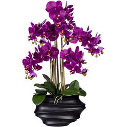 Creativ green Kunstorchidee &raquo;Phalaenopsis&laquo; in Design-Kunststoffvase lila Kunststoff B/H/L: 75cm, 1 Stk.