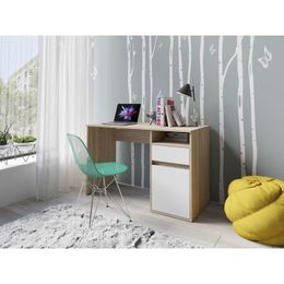 Home Affaire Schreibtisch &raquo;Tinsley&laquo; mit Schublade, und T&uuml;r, Breite 120 x53 cm wei&szlig; B/H/T: 120cm x 76cm x 53cm, Computertischmit Schublade, T&uuml;r und 