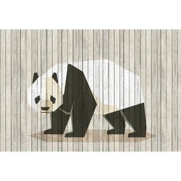 Livingwalls living walls Fototapete &raquo;Walls by Patel Born To Be Wild 2&laquo; glatt Vlies, Wand, Schr&auml;ge beige Vlies B/L: 4m x 2,7m