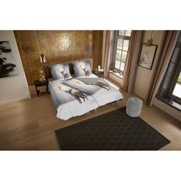 PURE luxury collection Wendebettw&auml;sche &raquo;Jeppe&laquo; 2 Stk. Mikrofaser, Pflegeleicht, Rei&szlig;verschluss, Wendeoptik, winter rothirsch braun Microfaser, 