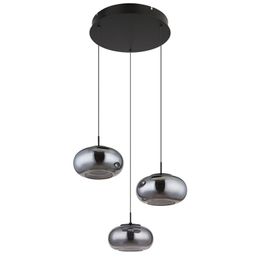 Globo LIGHTING LED-H&auml;ngeleuchte &raquo;QUINTARA&laquo; LED-Modul 1 Stk. Warmwei&szlig; Pendelleuchte, Essbereich, Wohnzimmer, k&uuml;rzbar, Glas schwarz 1, &Oslash; 20cm H: 150cm, 