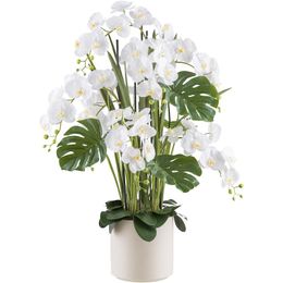 Creativ green Kunstorchidee &raquo;Orchidee Phalaenopsis&laquo; mit Gr&auml;sern und Splitphilo-Bl&auml;ttern beige Kunststoff B/H/L: 120cm, 1 Stk.