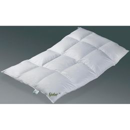 fj&ouml;dur fj&ouml;dur Daunenbettdecke &raquo;Fabiennes Royal&laquo; extrawarm F&uuml;llung 50% Daunen & 50% Federn 1 Stk. tlg. In verschiedenen Gr&ouml;&szlig;en erh&auml;ltlich. wei&szlig; Bezug: 100% 