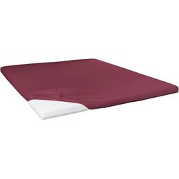 Primera Spannbettlaken &raquo;Elasthan-Feinjersey Topper&laquo; Aus 95% gek&auml;mmter Baumwolle und 5% Elastan rot Jersey-Elasthan, Obermaterial: 95% Baumwolle, 5% Elasthan 1