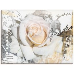 Artland Leinwandbild &raquo;In Buchstaben - Rose&laquo; Blumen 1 Stk. tlg. auf Holzrahmen gespannt wei&szlig; Leinwand B/H/T: 120cm x 90cm, Leinwandbild Blumen, 1 Stk.