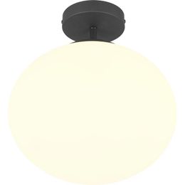 Trio Leuchten Deckenleuchte &raquo;FOMENTO, Deckenlampe mit Glasschirm &Oslash; 30cm, exkl 1x E27 max 40W&laquo; E27 1 Stk. warmwei&szlig; - kaltwei&szlig; rund Glas Deckenleuchte 