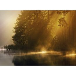 papermoon Fototapete &raquo;Misty Early Morning&laquo; glatt bunt Vlies B/L: 5m x 2,8m, Bahnen: 10 Stk.