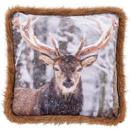 done. Dekokissen &raquo;Deer&laquo; Bedrucktes Kissen in feinem Samtstoff braun Polyester B/L: 45cm x 45cm, 1 Stk.