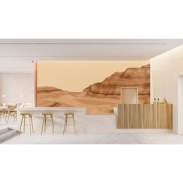 Livingwalls living walls Vliestapete &raquo;W&uuml;sten-Tapete in Sandoptik Beige Braun Naturmuster&laquo; matt glatt braun Vlies B/L: 2,5m x 5m, Rollen: 1