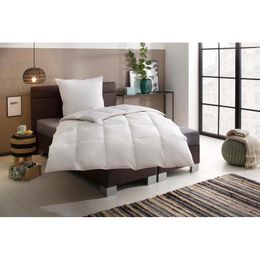 OTTO home Daunenbettdecke + 3-Kammer-Kopfkissen &raquo;Lasse, Bettdecke 135x200 cm, 155x220 cm, Made in Green&laquo; 2-tlg., Set mit Kissen 40X80 cm, 80x80 cm, 