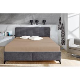Primera Spannbettlaken &raquo;Cozy Cotton Spannbetttuch&laquo; in hochwertiger Qualit&auml;t Biber, Obermaterial: 100% Baumwolle B/L: 100cm x 200cm, 1 Stk., Biber, 100x200 