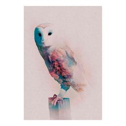 Komar Bild &raquo;Animals Forest Owl&laquo; Tiere 1 Stk. tlg. Wandbild zur Dekoration - ohne Rahmen bunt Holzwerkstoff, Papier B/H/T: 40cm x 50cm, Tiere, 1 Stk.