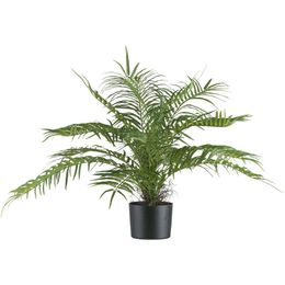 Creativ green Kunstpalme &raquo;Arecapalme&laquo; mit 15 Wedeln gr&uuml;n Kunststoff B/H/L: 70cm, 1 Stk.
