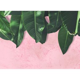 Livingwalls living walls Fototapete &raquo;Designwalls Leaves Wall 1&laquo; glatt Vlies, Wand, Schr&auml;ge, Decke gr&uuml;n Vlies B/L: 3,5m x 2,55m