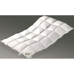 fj&ouml;dur fj&ouml;dur Federbettdecke &raquo;Fabiennes Basic, Bettdecken f&uuml;r Winter, Decke&laquo; warm F&uuml;llung 85% Federn, 15% Daunen 1 Stk. tlg. Bettdecke 135x200 cm, allergiker