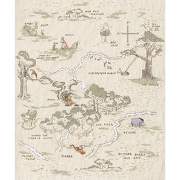 Komar Vliestapete &raquo;Digitaldruck Vlies - Winnie the Pooh Map - Gr&ouml;&szlig;e 200 x 240 cm&laquo; bedruckt glatt Kinderzimmer bunt Vlies B/L: 200m x 240m, Rollen: 1