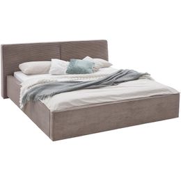 Meise M&ouml;bel meise.m&ouml;bel Polsterbett &raquo;Magnum&laquo; wahlweise mit Bettkasten grau Liegefl&auml;che L&auml;nge B: 200cm x 160cm, Cord ohne Bettkasten & ohne Lattenrost, H&ouml;he 