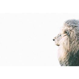 Livingwalls living walls Fototapete &raquo;ARTist Lion in Snow&laquo; Vlies, Wand, Schr&auml;ge wei&szlig; Vlies B/L: 4m x 2,7m