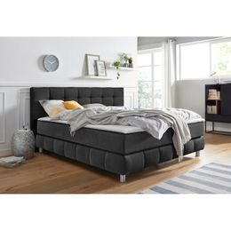 Home Affaire Boxspringbett &raquo;Salo&laquo; incl. Topper, 6 Breiten, 2 H&auml;rtegrade, TFK auch in H&auml;rtegrad 4 grau Struktur (100% Polyester);Bezug der 