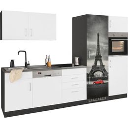 KOCHSTATION K&uuml;chenzeile &raquo;KS-Paris &ndash; K&uuml;chen mit einzigartigen Fotomotiven auf den Fronten&laquo; Breite 290 cm, wahlweise mit E-Ger&auml;ten und Induktion wei&szlig; B/