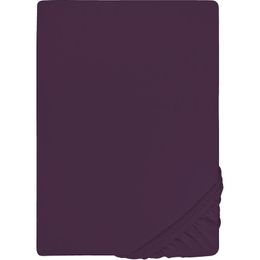 Biberna Spannbettlaken &raquo;THEA Baumwoll-Jersey mit Elasthan, 160 g/m&sup2;&laquo; Bettlaken f&uuml;r Matratzen bis 25 cm H&ouml;he, pflegeleicht, b&uuml;gelfrei lila Jersey-Elasthan, 