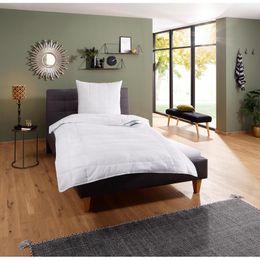 f.a.n. fan Microfaserbettdecke &raquo;Komfort Plus, Bettdecke in 135x200 cm und weitere Gr&ouml;&szlig;en erh&auml;ltlich&laquo; leicht F&uuml;llung 100% Lyocell 1 Stk. tlg. Made in Germany!