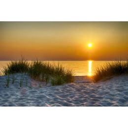 papermoon Fototapete &raquo;Dunes Lake Michigan&laquo; glatt bunt Vlies B/L: 2,5m x 1,86m, Bahnen: 5 Stk.