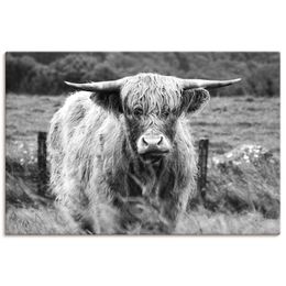 Artland Wandbild &raquo;Happy Highland&laquo; Wildtiere 1 Stk. tlg. als Alubild, Leinwandbild, Poster, Wandaufkleber in verschied. Gr&ouml;&szlig;en Leinwand B/H/T: 120cm x 80cm, 