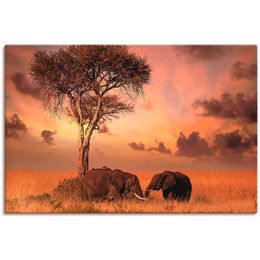 Artland Leinwandbild &raquo;Elefanten zum Abendessen&laquo; Wildtiere 1 Stk. tlg. auf Holzrahmen gespannt orange Leinwand B/H/T: 90cm x 60cm, Leinwandbild Wildtiere 